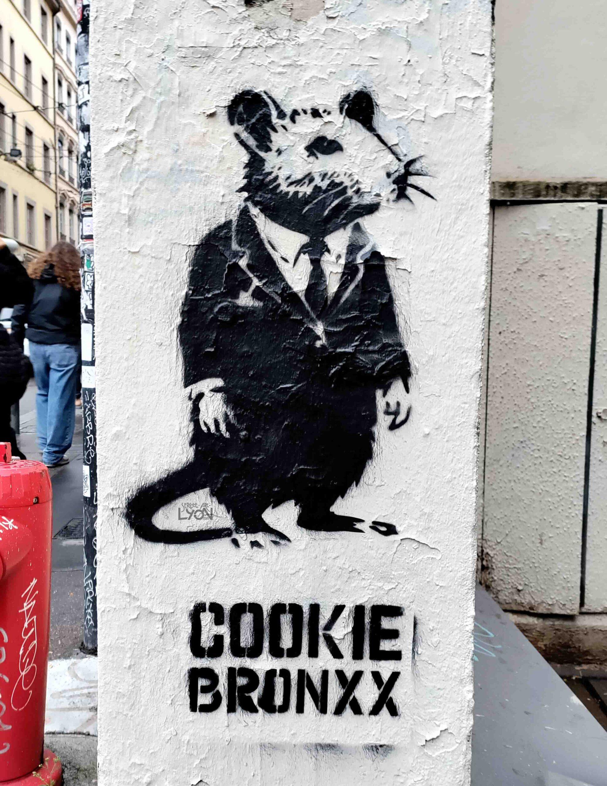 cookie.bronxx rue terme, Lyon 1er - STREET-ART-LYON